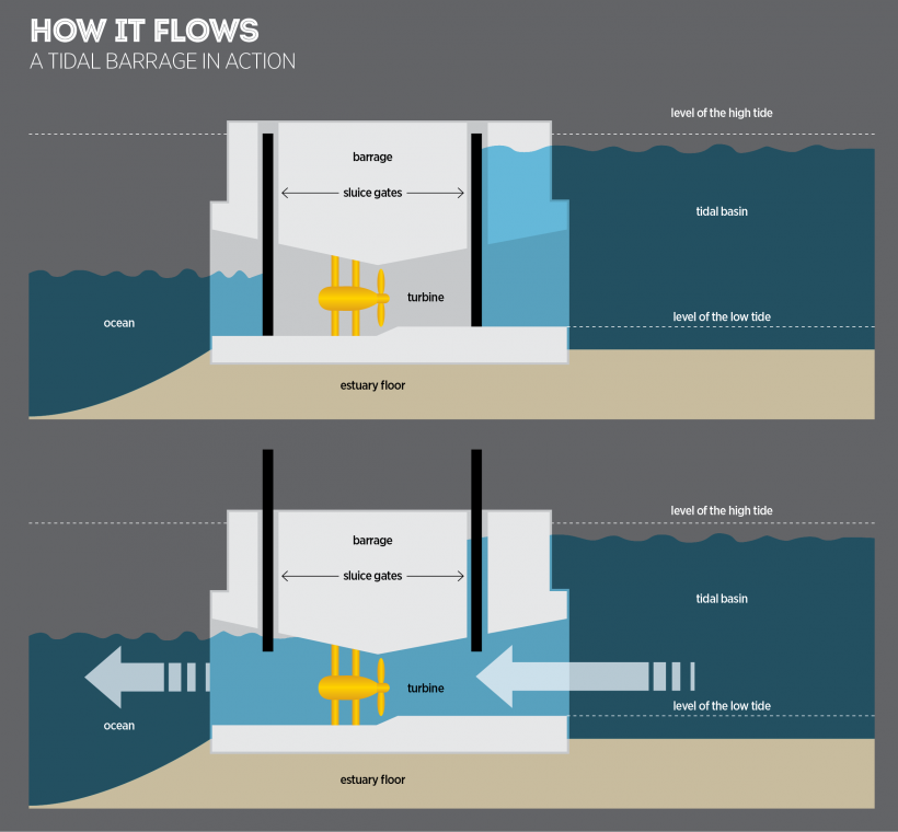 Tidal bore energy: how its harnessed – The New Economy