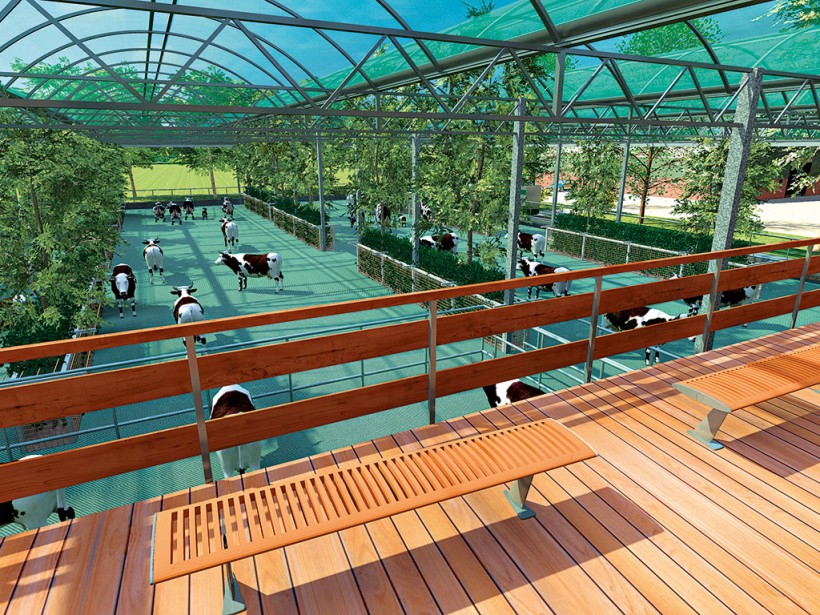 Rotterdam’s floating farms reduce environmental harm – The New Economy