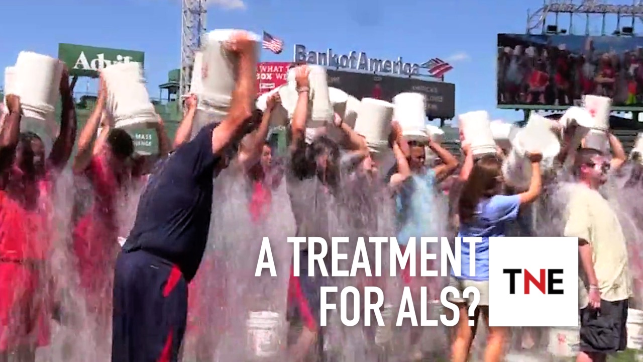 Gold-standard lupus treatment Lupuzor begins phase III trial | The New ...